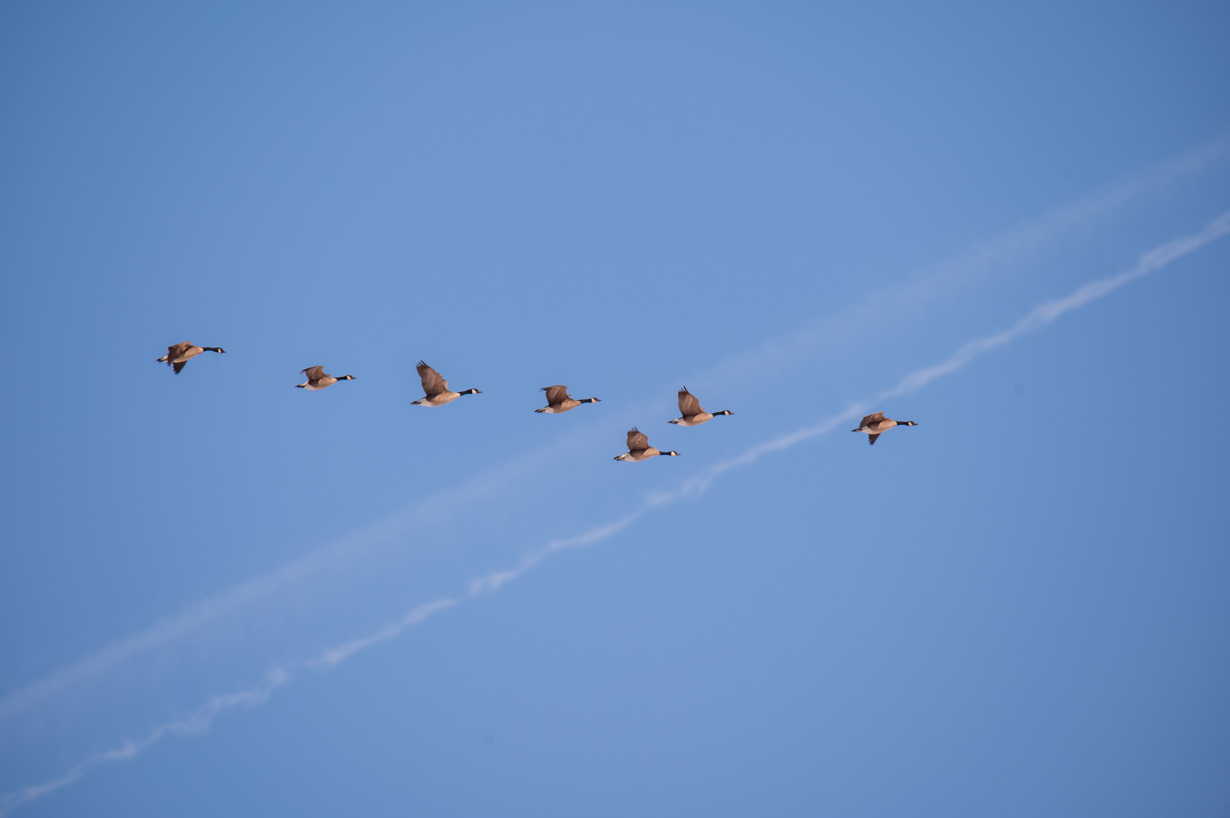 How to migrate GitLab groups and projects more efficiently